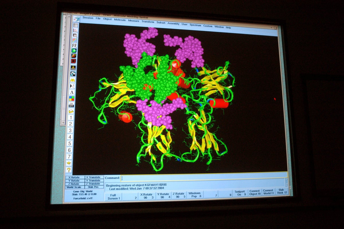 Molecular Origami: Protein Engineering Emerges to Fight Disease ...