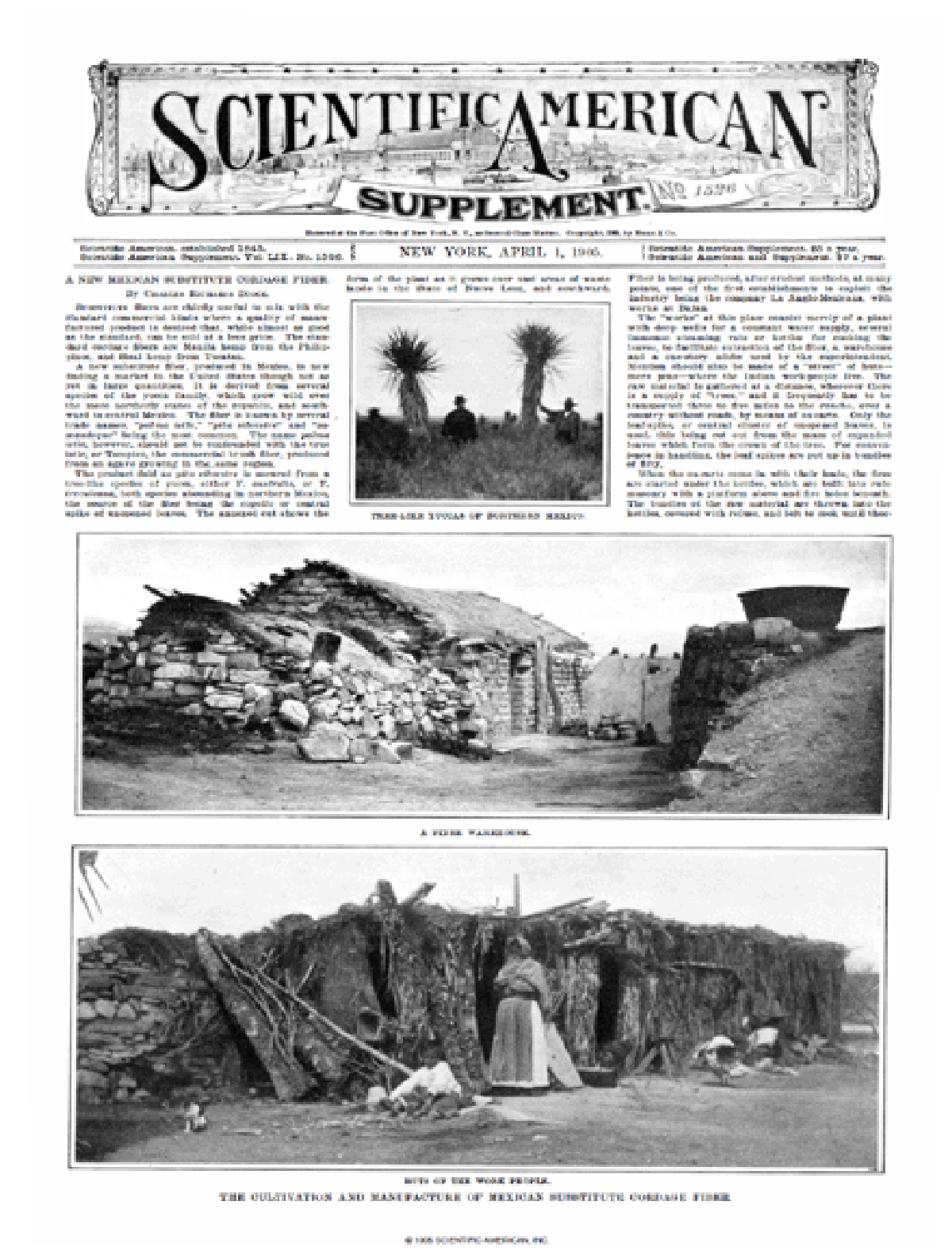 Scientific American Supplements Volume 59, Issue 1526supp | Scientific ...