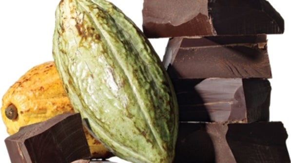 The Race to Save Chocolate - Scientific American