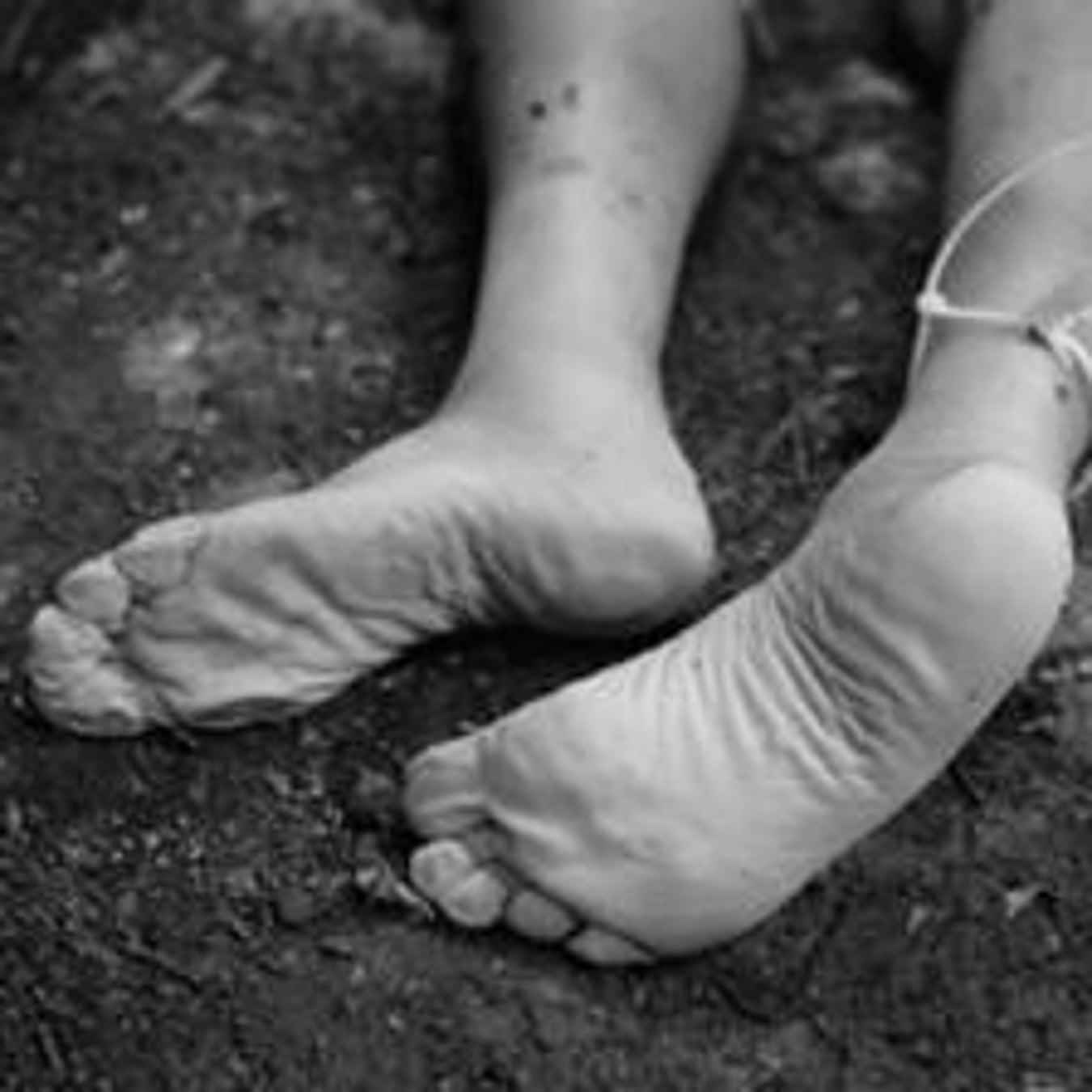 Dust to Dust: The Brief, Eventful Afterlife of a Human Corpse ...