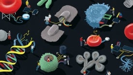 Stories by Timothy K. Lu - Scientific American