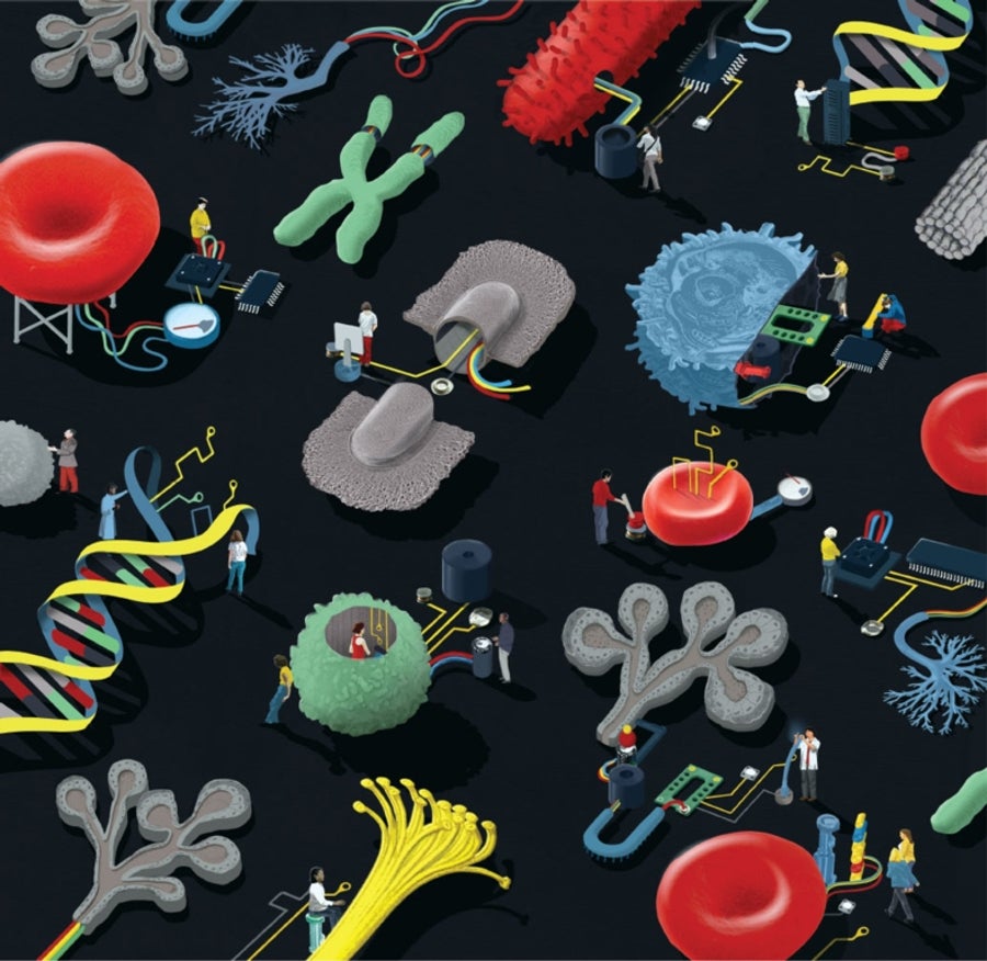 Cells That Compute Come Closer to Reality | Scientific American