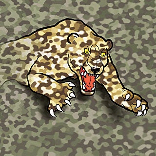 Patternicity: Finding Meaningful Patterns in Meaningless Noise ...