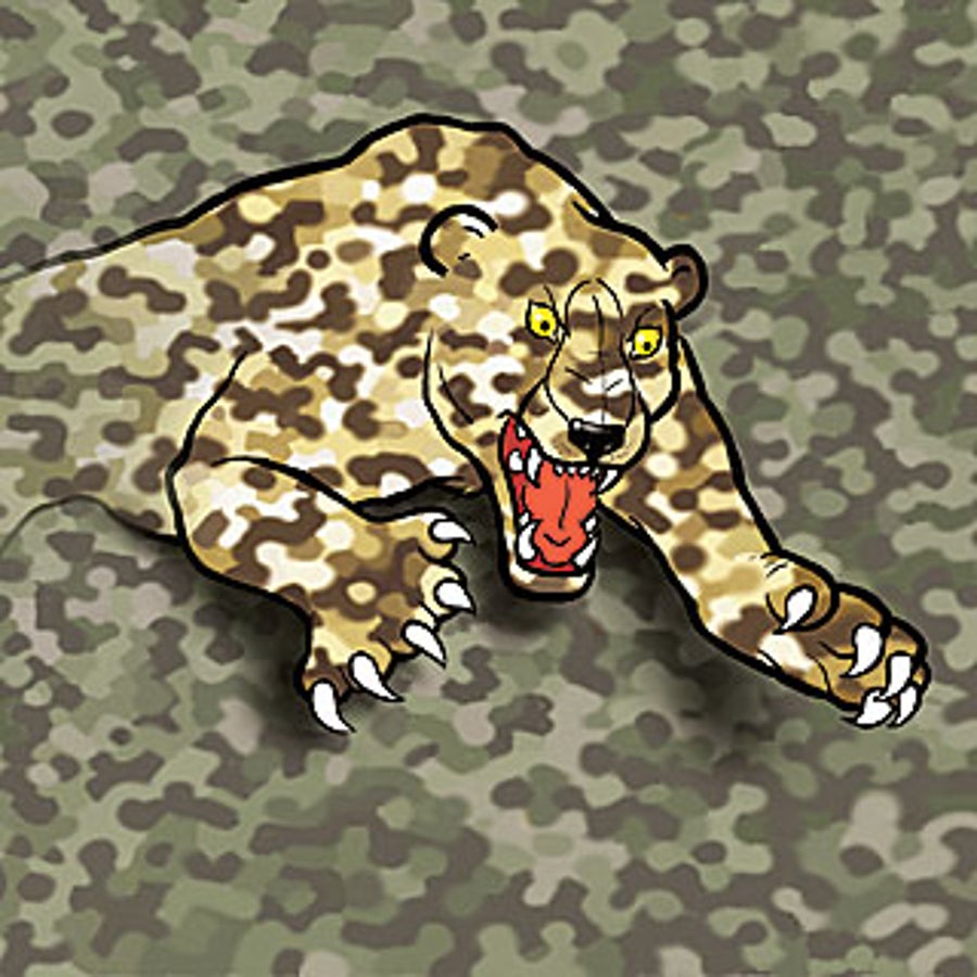 Patternicity: Finding Meaningful Patterns in Meaningless Noise ...