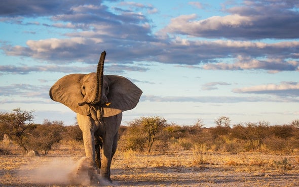 Biology News and Research - Scientific American