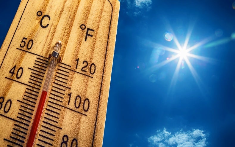 The 5+ Effects of Oppressive Heat Waves - Scientific American