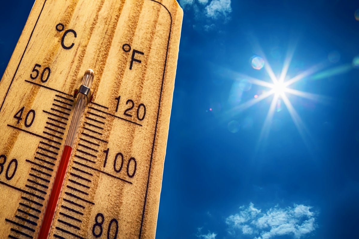 The 5+ Effects of Oppressive Heat Waves | Scientific American