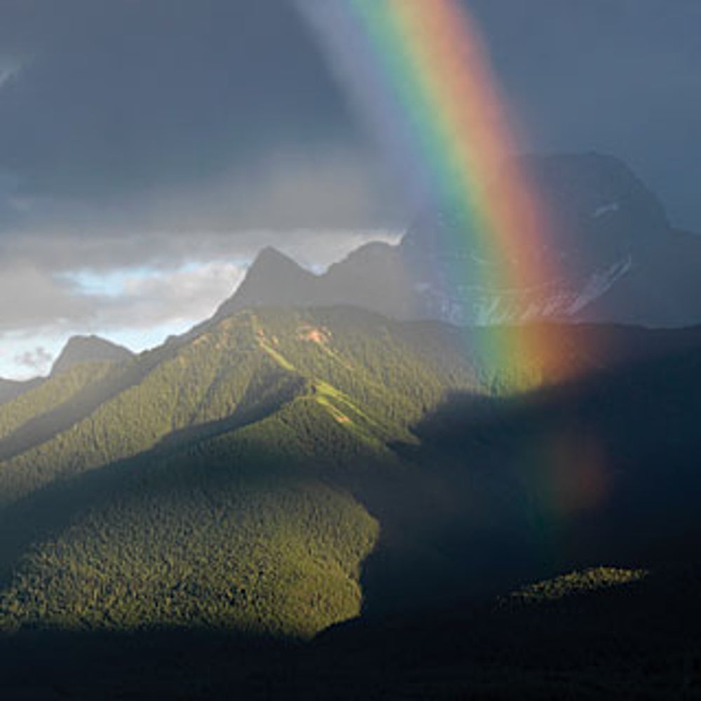 Origins: The Start of Everything | Scientific American