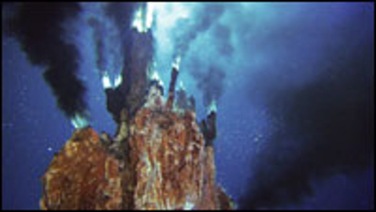 Into the Abyss | Scientific American