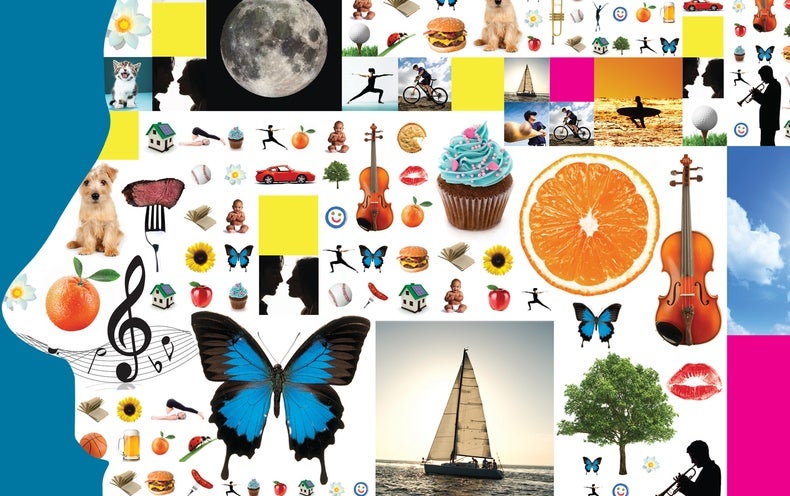 New Pleasure Circuit Found in the Brain - Scientific American