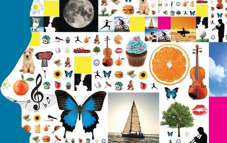 Stories by Kent C. Berridge | Scientific American