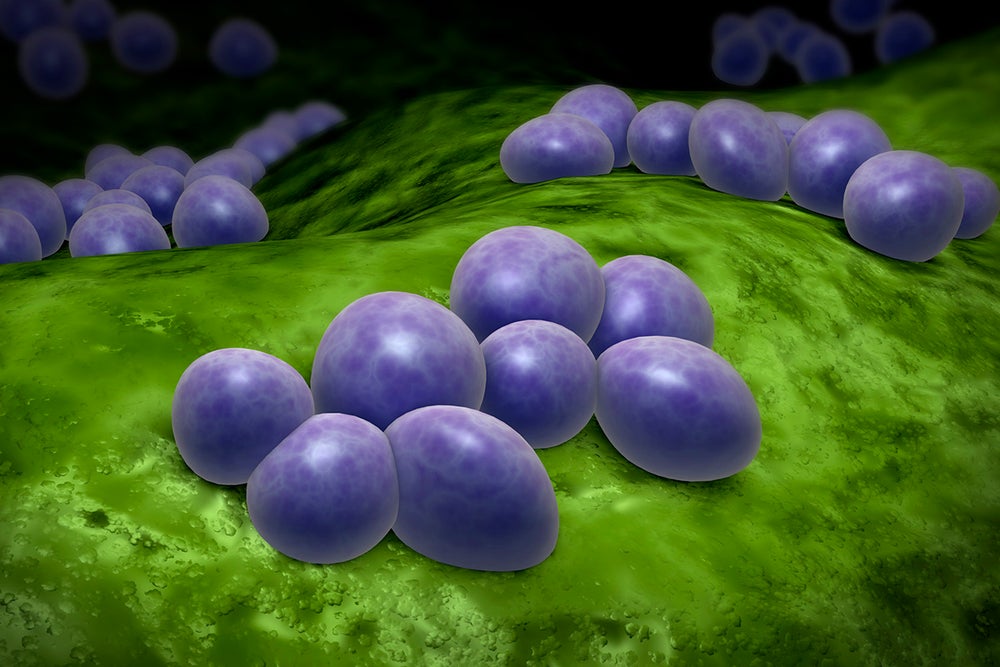 Should Fighting Antibiotic Resistance Always Include Finishing a ...