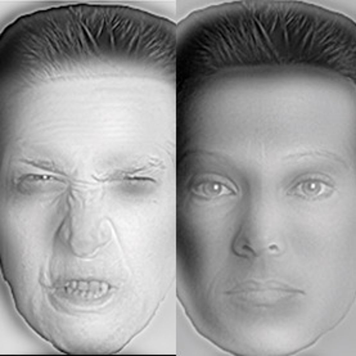 What's In a Face? | Scientific American