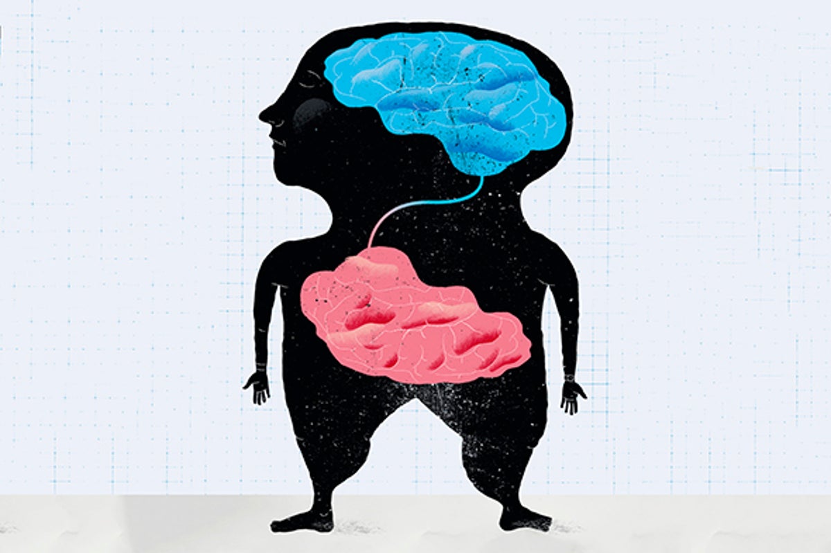 Is Your Gut Making You Depressed or Anxious? | Scientific American