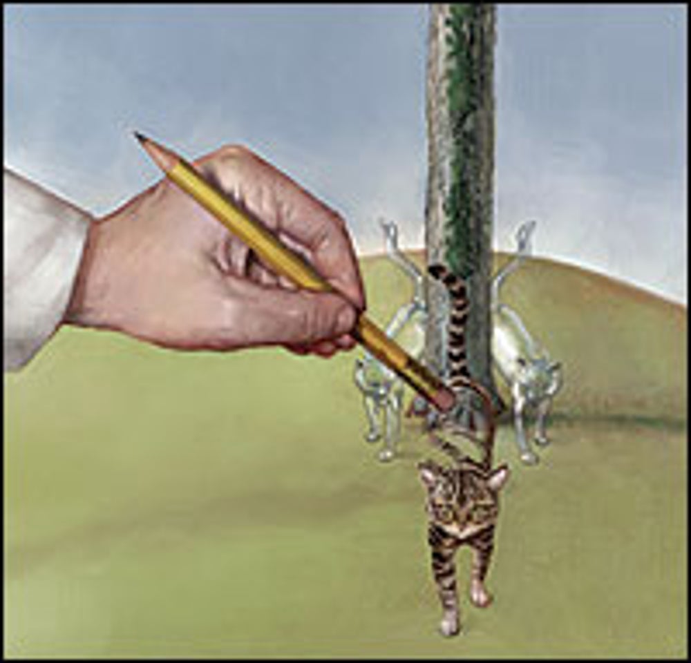 A Do-It-Yourself Quantum Eraser | Scientific American