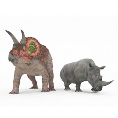 Dinosaurs Might Have Had Warm-Blooded Animals' Fast Metabolism ...