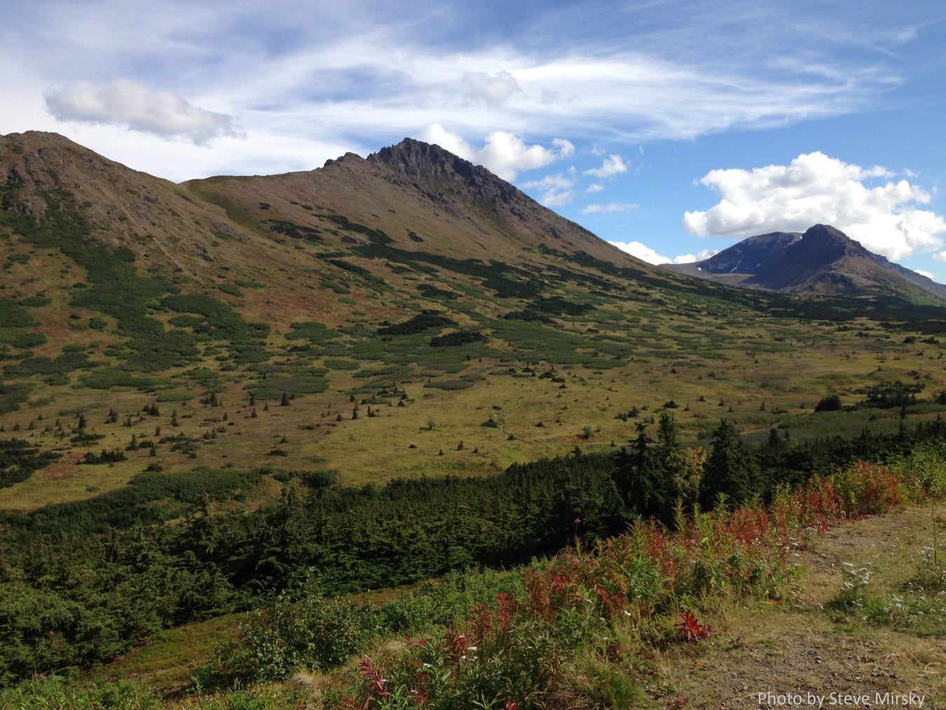 Needed: Info on Biodiversity Change over Time | Scientific American