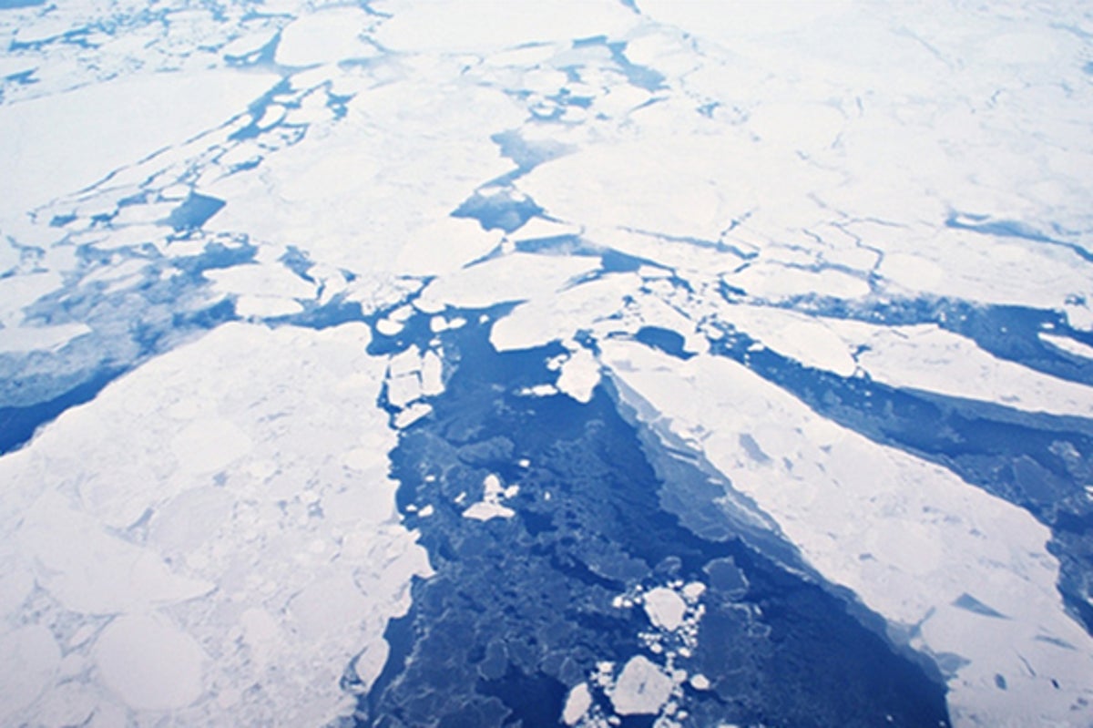 Sea Ice Hits Record Lows at Both Poles | Scientific American
