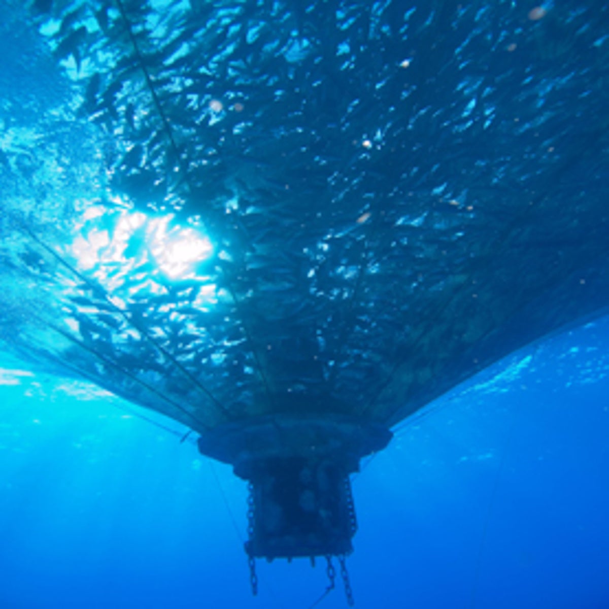 The Evolution of the Periodic System | Scientific American