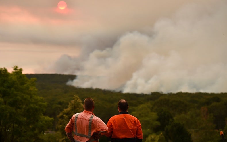 Smoke from Australia's Bushfires Killed Hundreds - Scientific American