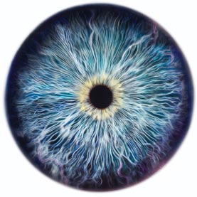 Minuscule Eye Motions Reveal Your True Thoughts - Scientific American