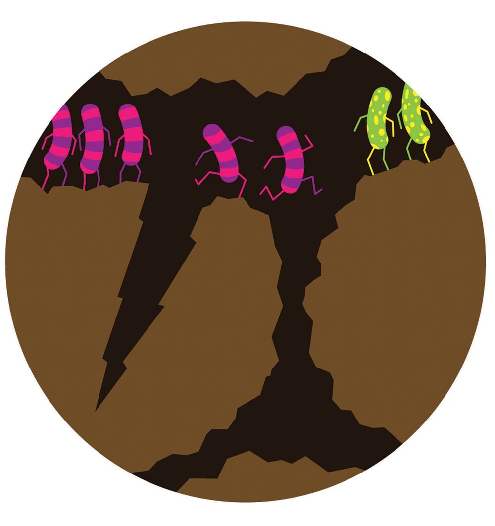 Geologic Activity Lets Microbes Mingle Deep Underground | Scientific ...