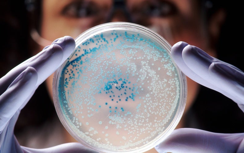 When It Comes to Evolution, Microbes Have to Pick and Choose ...