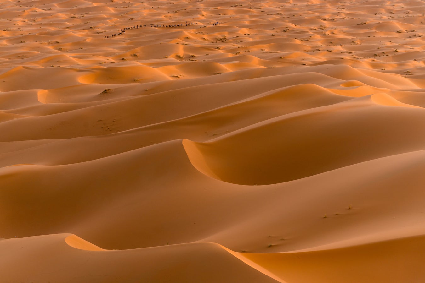 Can Artificial Intelligence Help Find Alien Intelligence? | Scientific ...