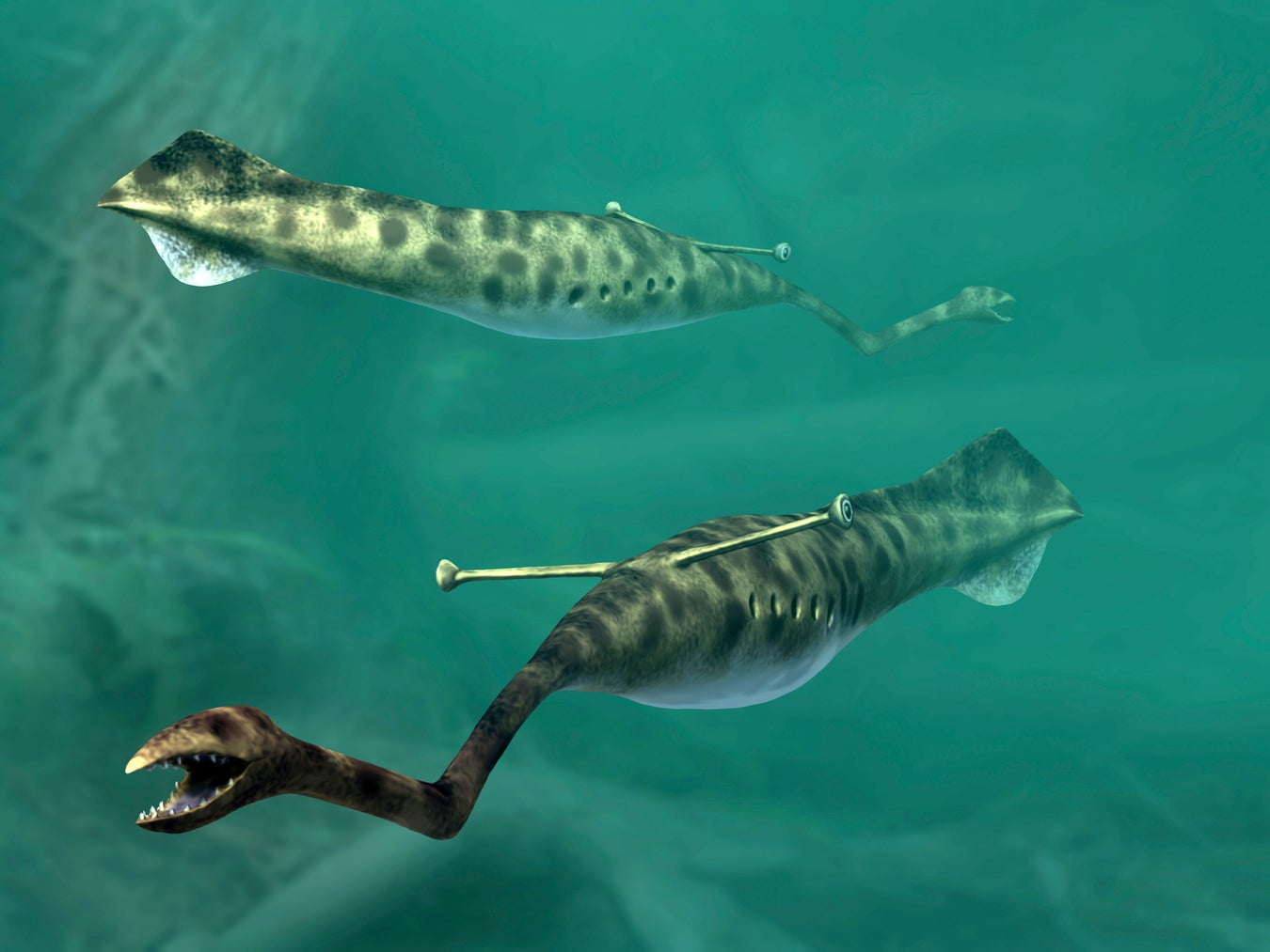 Was the Tully Monster a Fish, a Worm, a Giant Slug with Fangs ...
