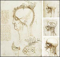 The Interplay of Art and Science - Scientific American