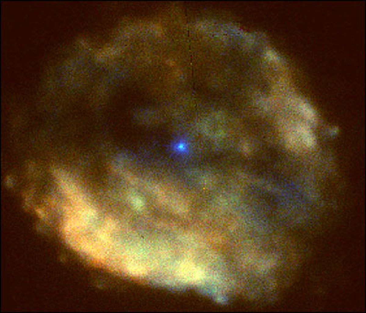 Bizarre Star | Scientific American