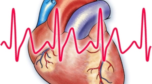 Cardiovascular System Science: Investigate Heart-Rate Recovery Time ...