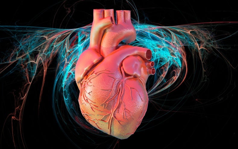 Should Computer Simulations Replace Animal Testing for Heart Drugs ...