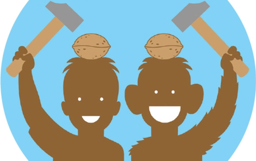 Toddlers Instinctually Know How to Use a Wild Ape's Tools | Scientific ...