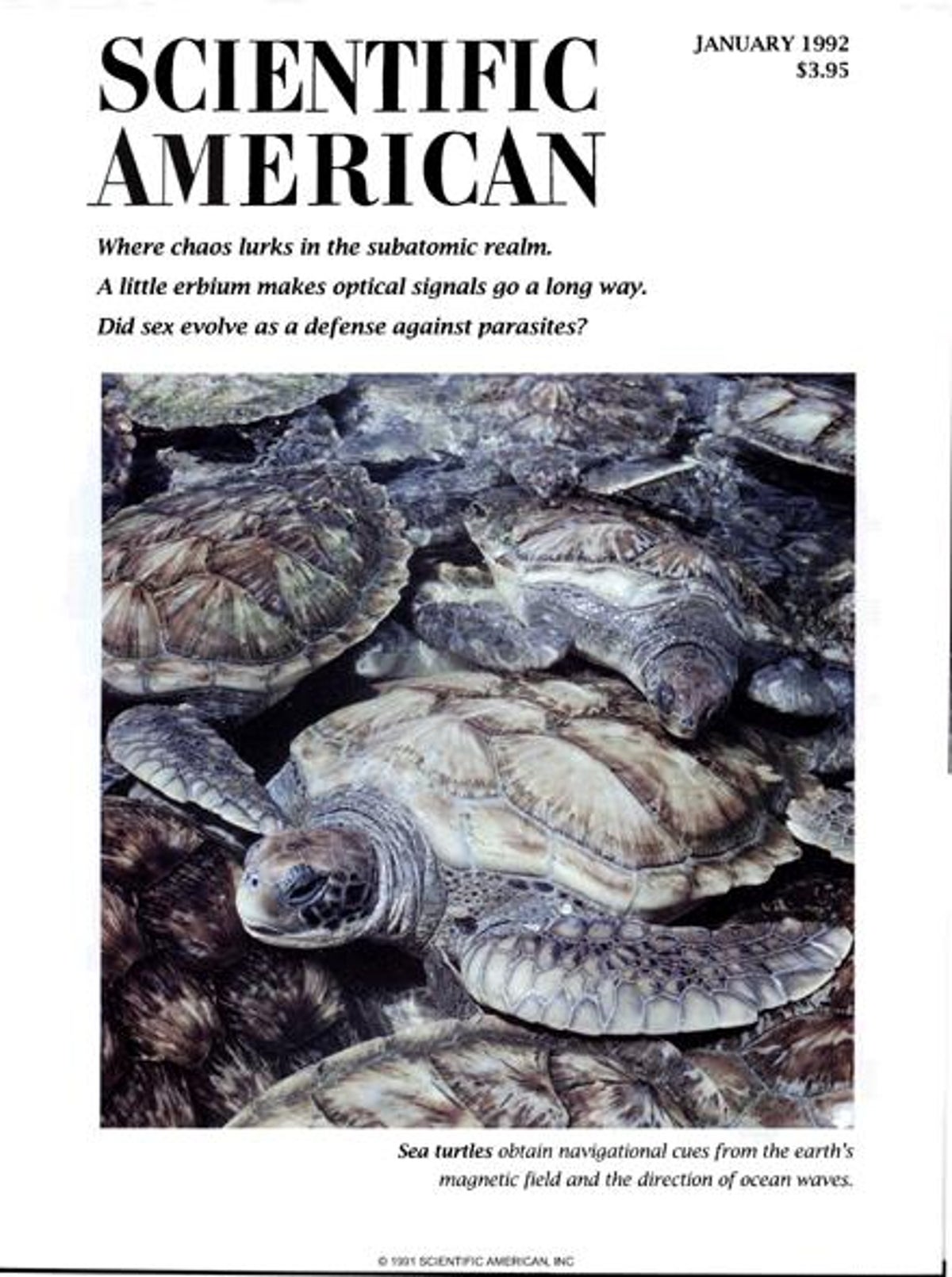 Scientific American Volume 266, Issue 1 | Scientific American