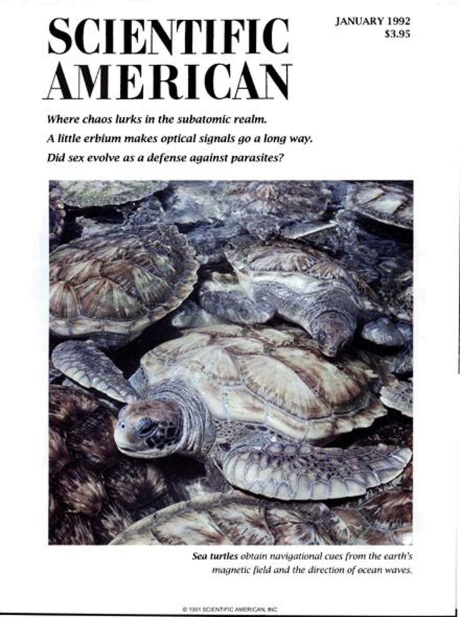 How Cells Absorb Glucose | Scientific American