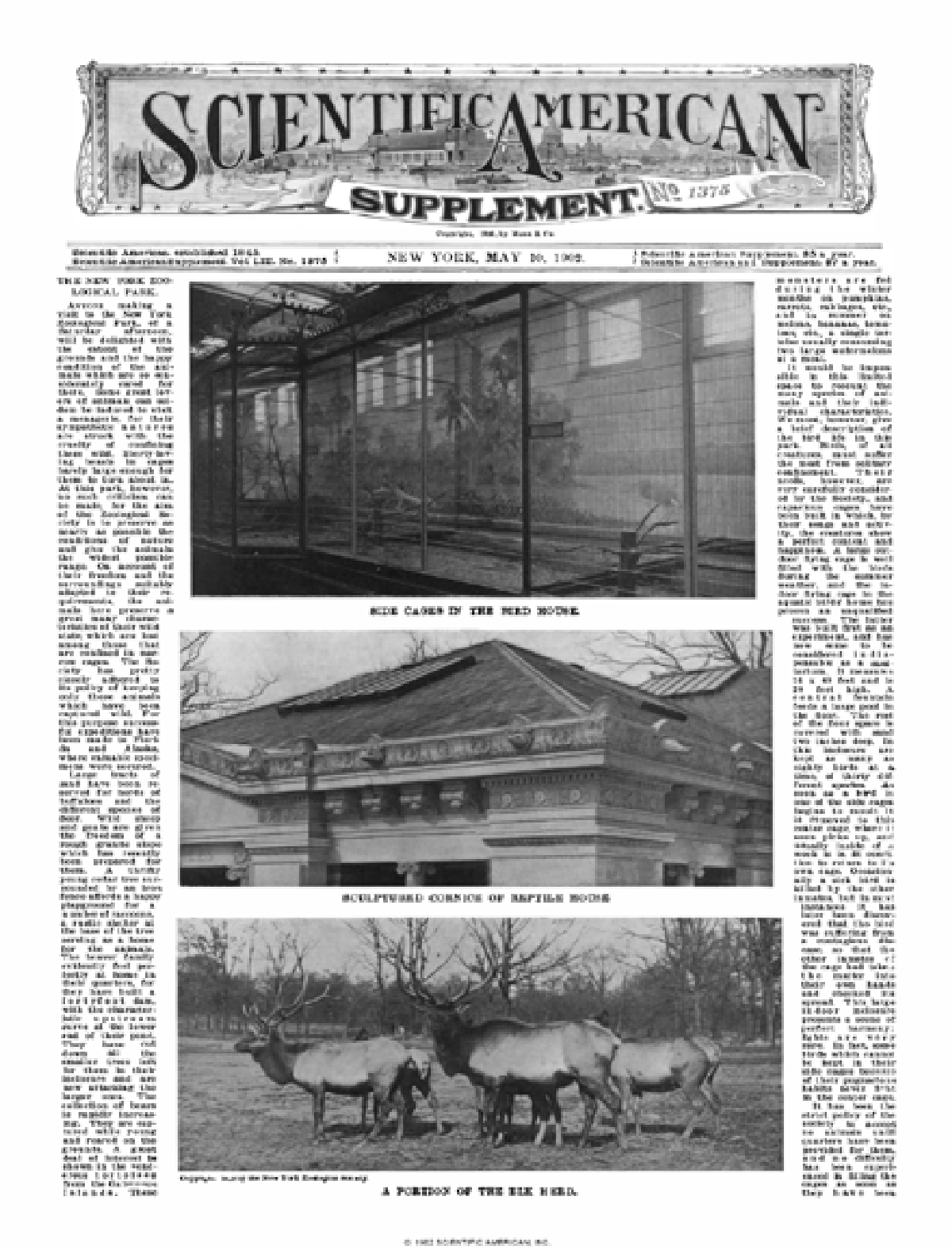 Scientific American Supplements Volume 53, Issue 1375supp | Scientific ...