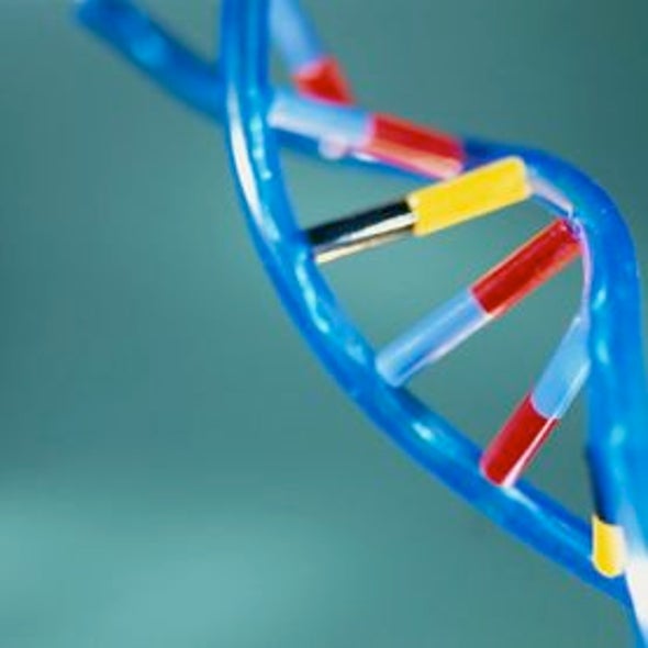 RNA Fragments May Yield Rapid, Accurate Cancer Diagnosis - Scientific ...