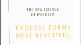 Stories by Brian K. Hall News and Research - Scientific American