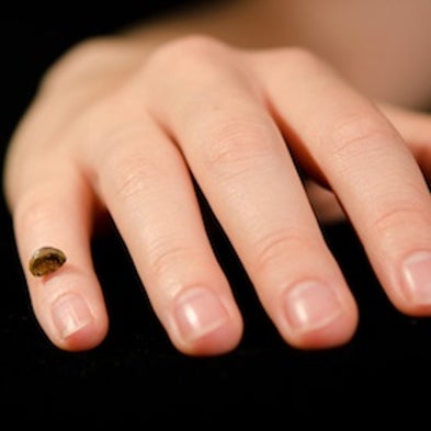 New DNA Analysis Shows Ancient Humans Interbred with Denisovans ...