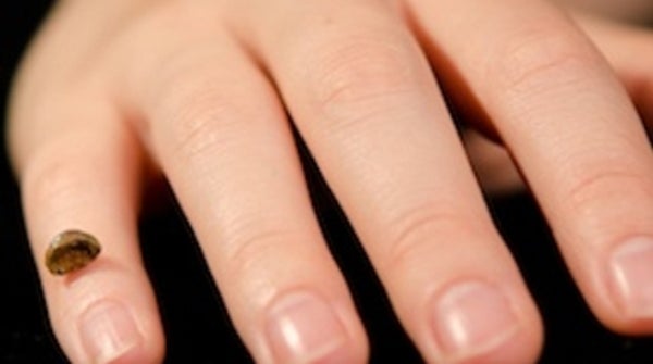 New DNA Analysis Shows Ancient Humans Interbred with Denisovans ...