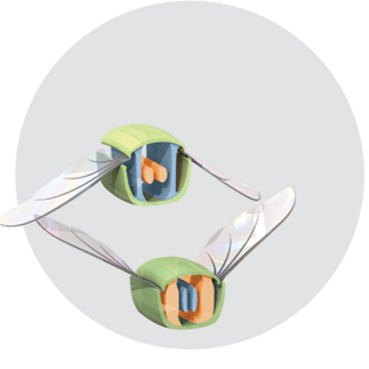 Cyborg Beetles: Merging of Machine and Insect to Create Flying Robots ...