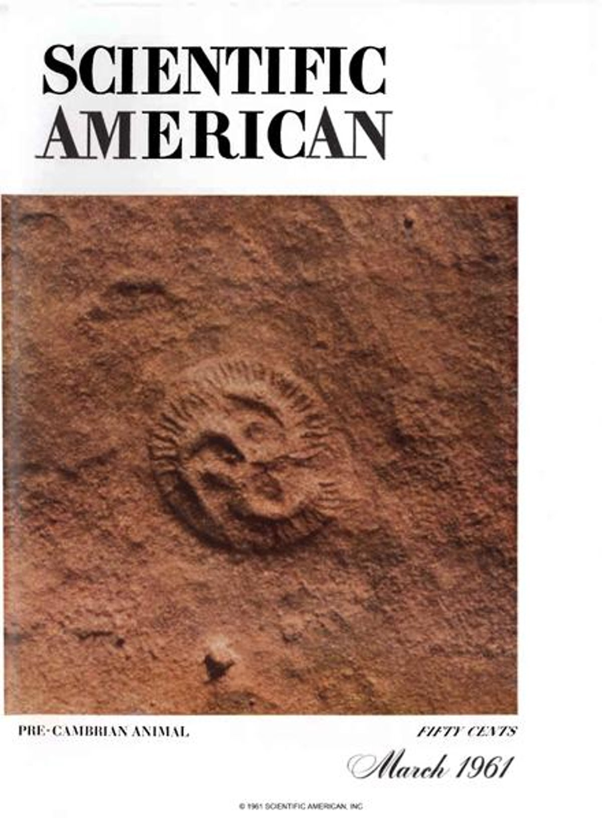 Scientific American Volume 204, Issue 3 | Scientific American