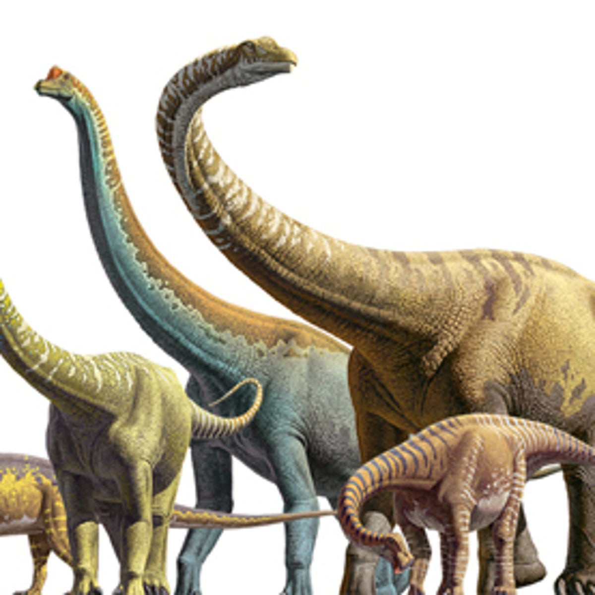 Colossal Coup: Sauropods Were Far More Successful Than Once Thought ...