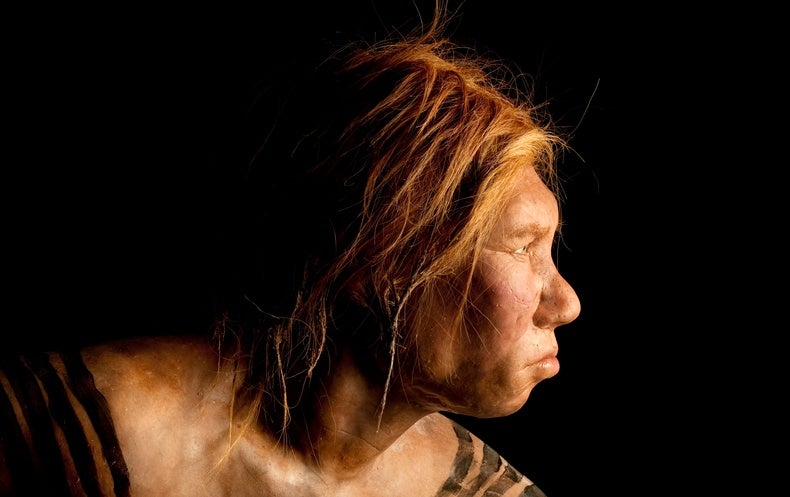 Neandertals Probably Perceived Speech Quite Well - Scientific American