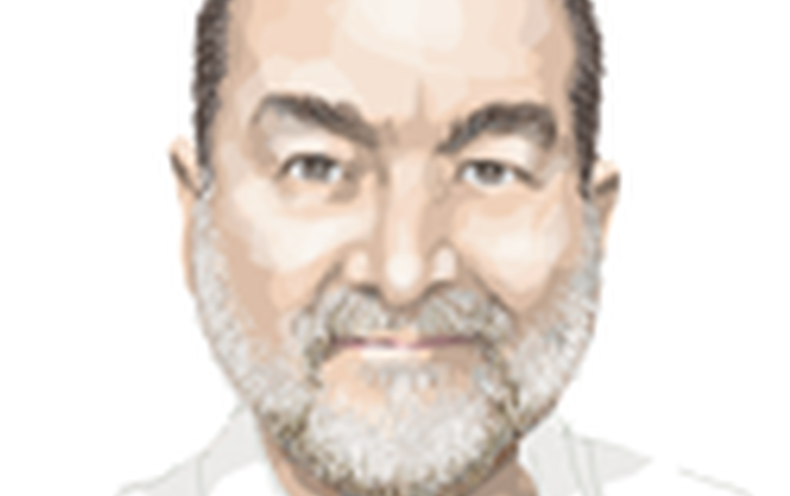 Stories by Craig Pittman | Scientific American