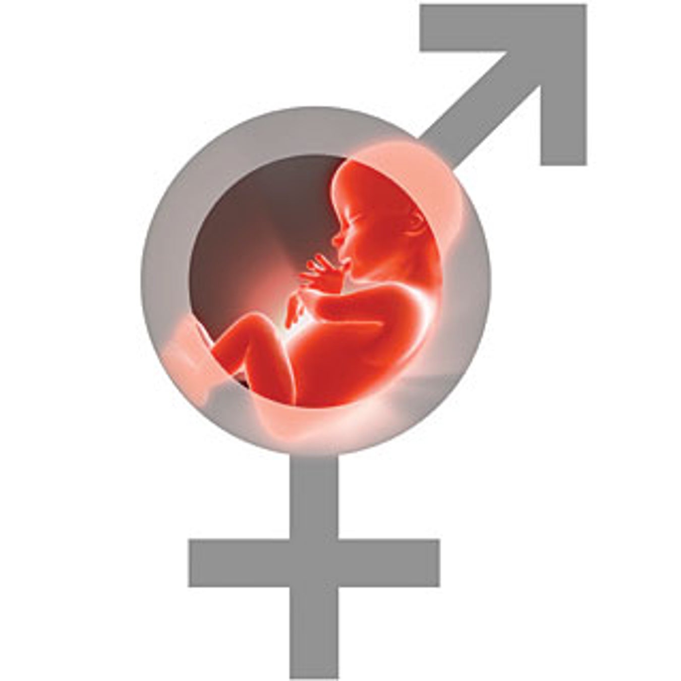 A Patchwork Mind: How Your Parents' Genes Shape Your Brain | Scientific ...