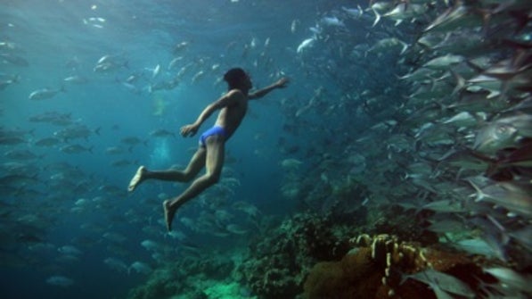 "Sea Nomads" May Have Evolved to Be the World's Elite Divers ...