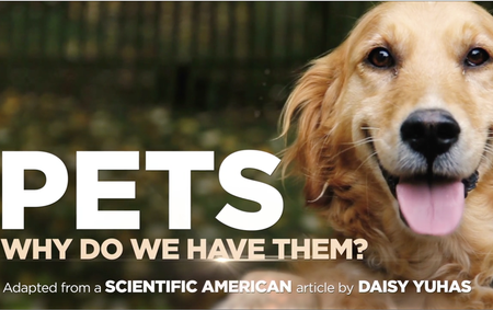 Stories by Daisy Yuhas | Scientific American
