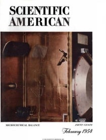 The Rabbit Plague - Scientific American